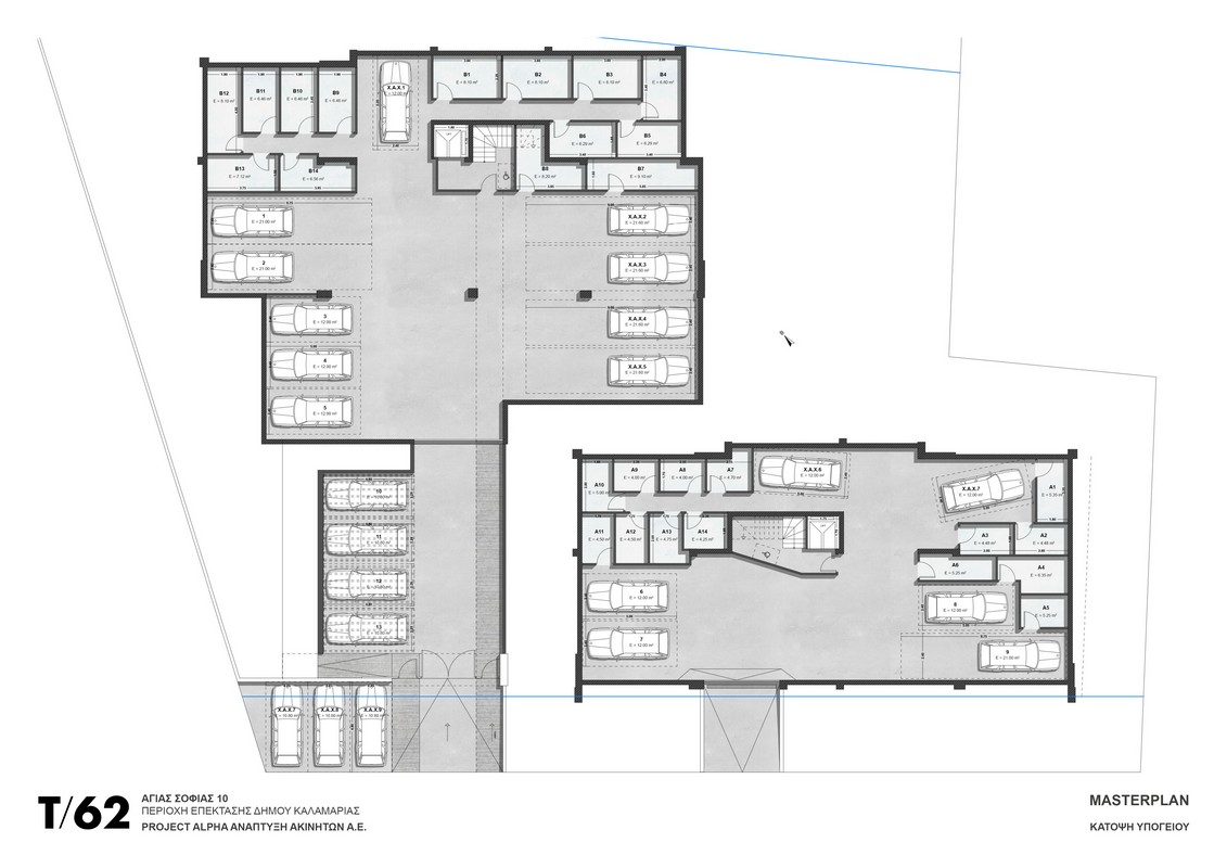 Project Alpha - Project Alpha